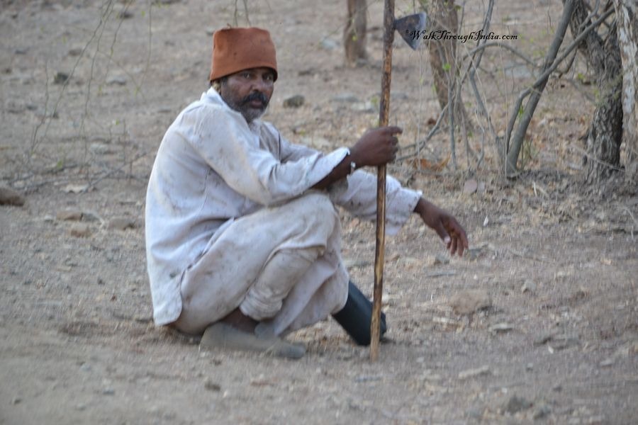 Maldhari - JungleKey.in Image